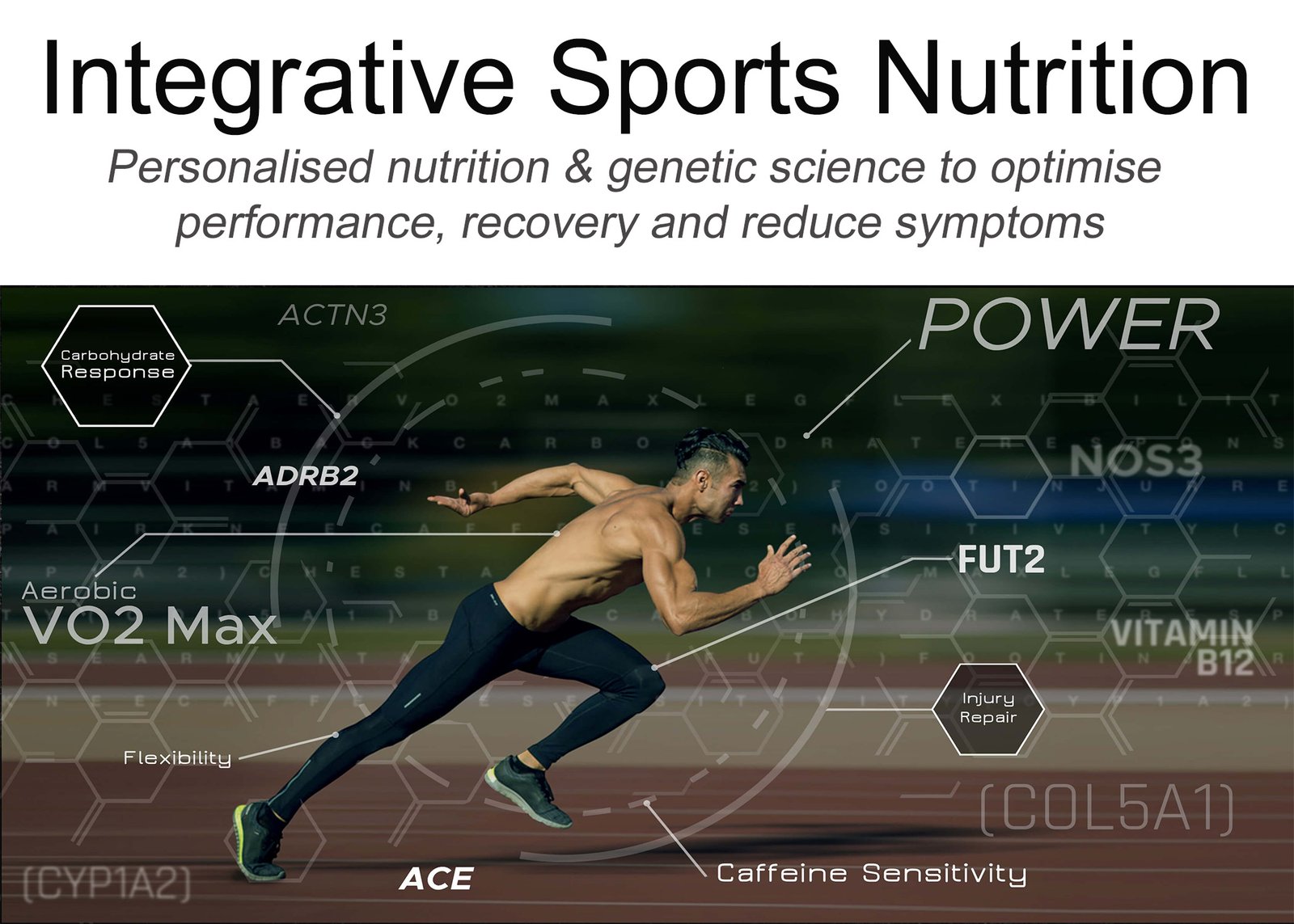 Integrative Sports Nutrition