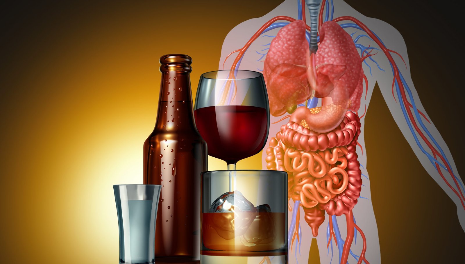 How alcohol binging damages the gut